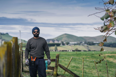 Home | Employment New Zealand