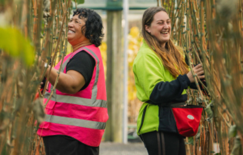 Home | Employment New Zealand